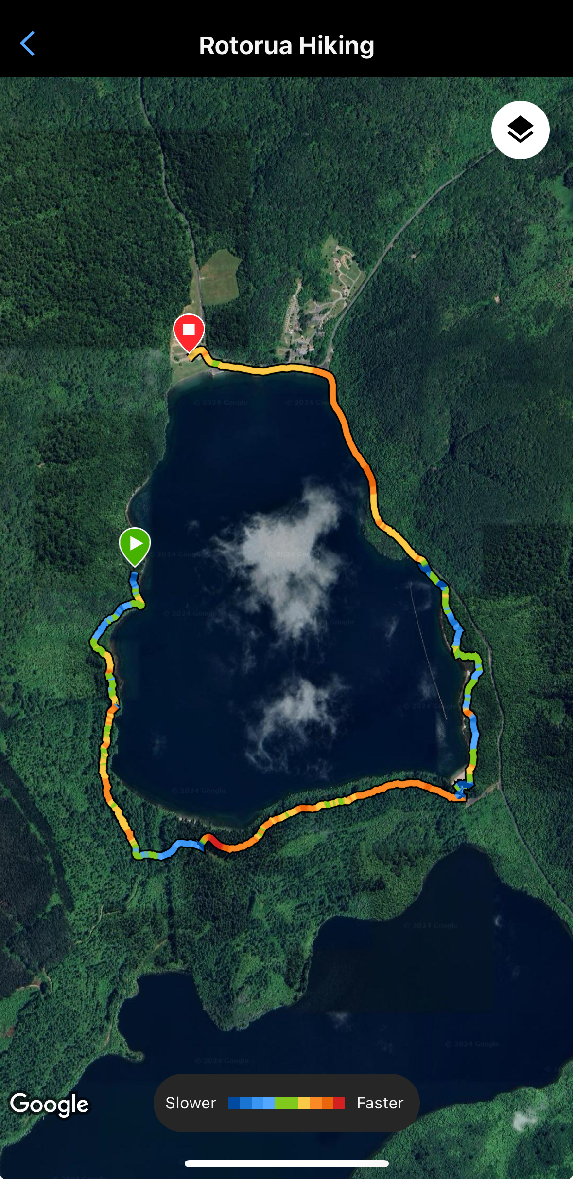 Review of the Blue Lake Loop in Rotorua, New Zealand